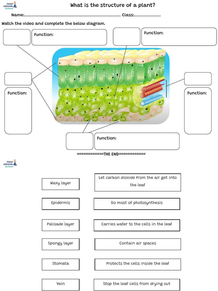 Science 7.u6.l1 Worksheet | PDF