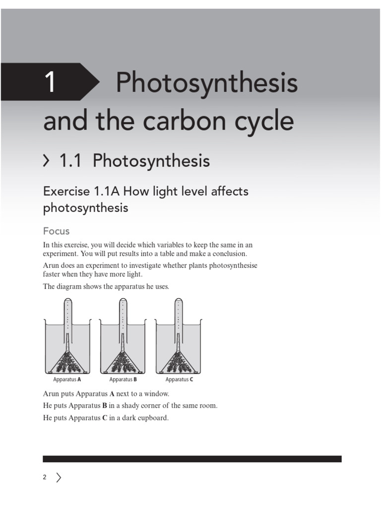 Photosynthesis Experiments Guide | PDF | Photosynthesis | Experiment
