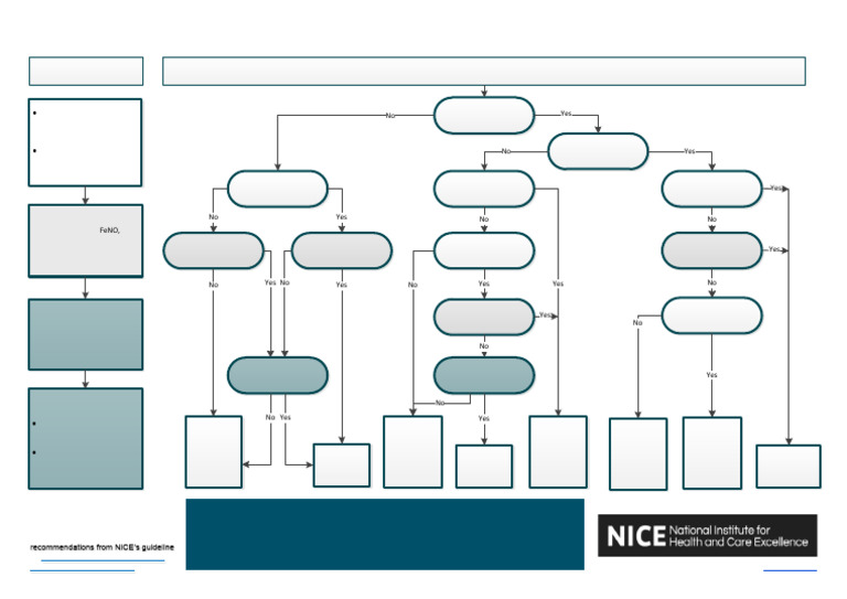 Algorithm-C-Objective-Tests-For-Asthma-In-Adults-Aged-17-And-Over | PDF ...