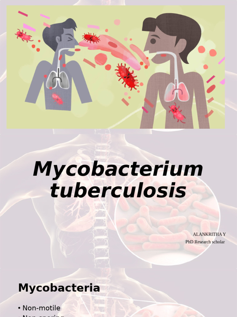Mycobacterium Tuberculosis | PDF | Mycobacterium | Tuberculosis