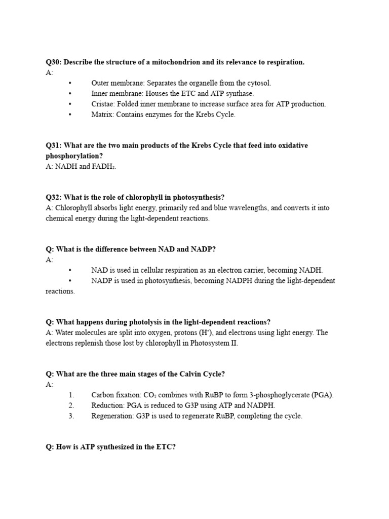 Biology Unit 2 Mod 1 - Quesions and Answers | PDF | Photosynthesis | Adenosine Triphosphate