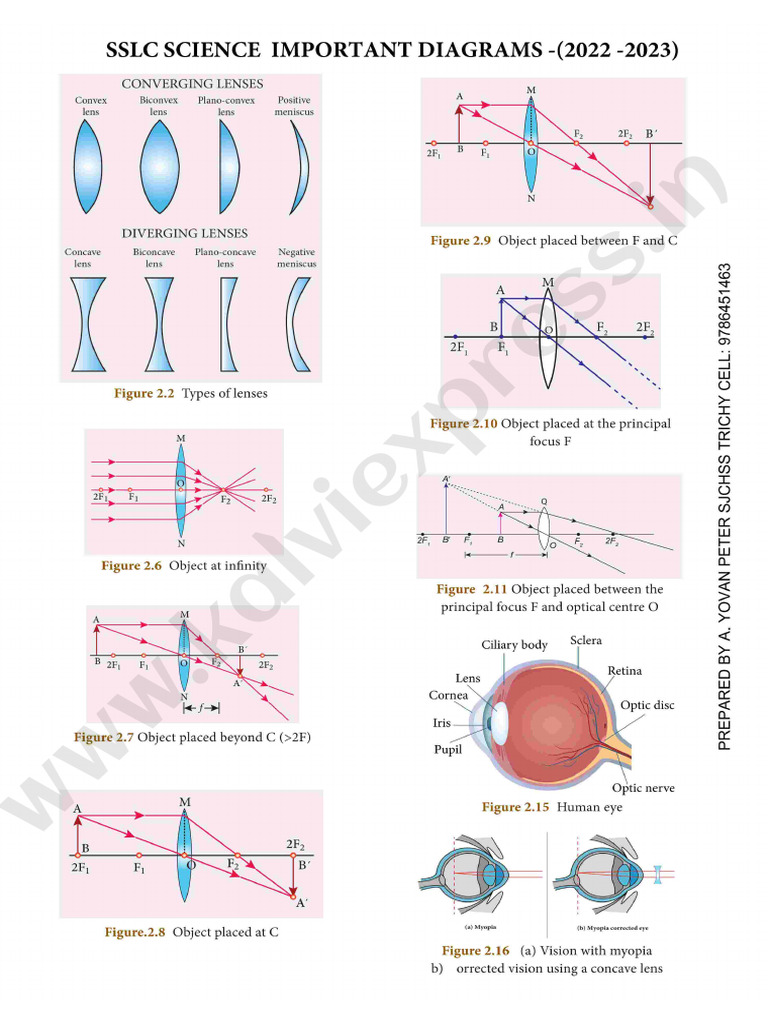10th - Science English - Medium Diagrams - 2022-2023 | PDF