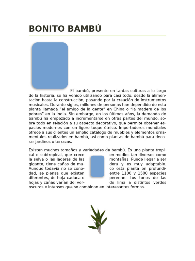 Decoración y Cultivo de Bambú | PDF