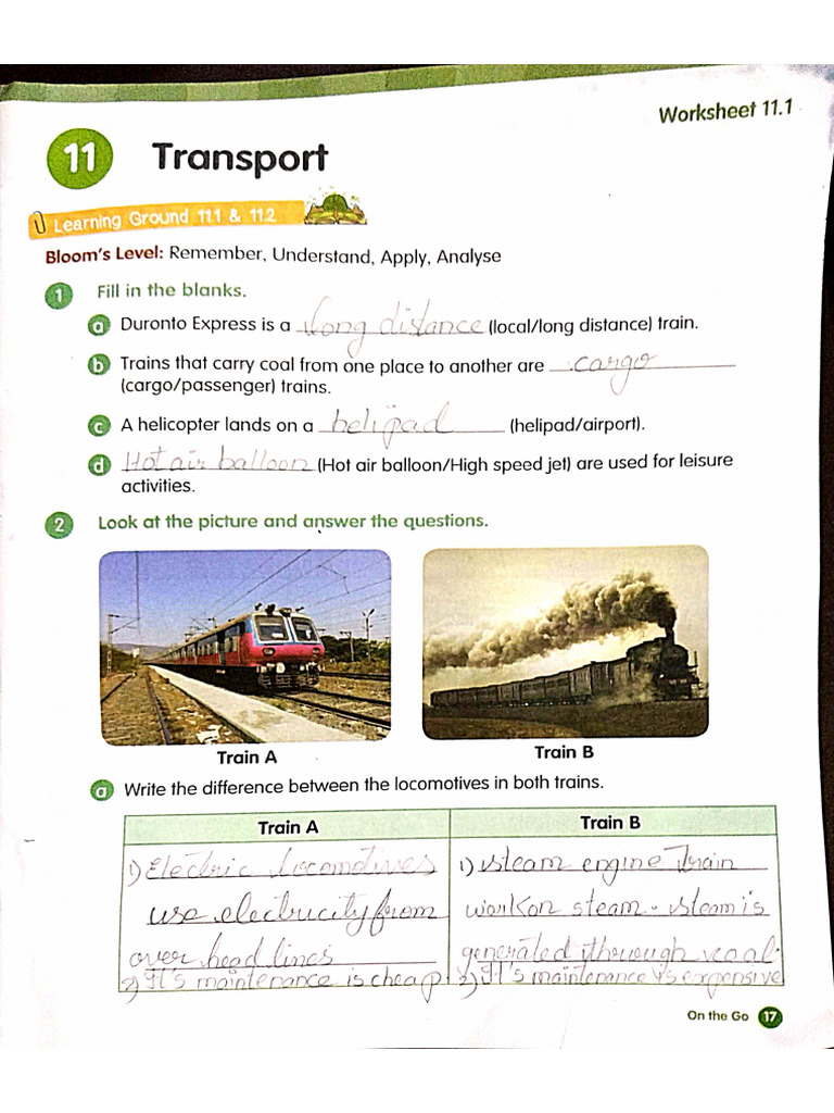 L11 Transport Workbook Notes | PDF