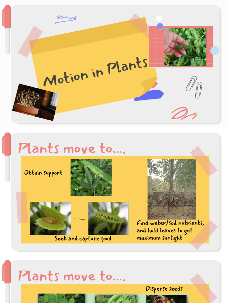 Motion in Plants PDF | PDF | Plants | Botany