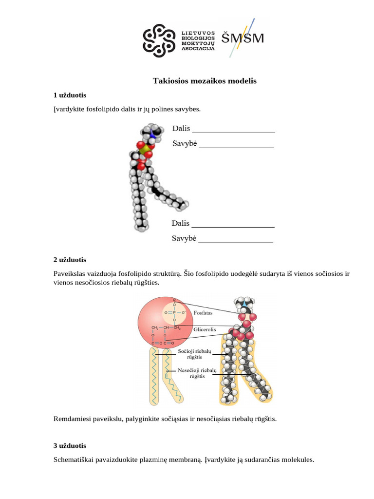 Biologija IIIkl. Uzduotys 2 Takiosios-Mozaikos-Modelis | PDF