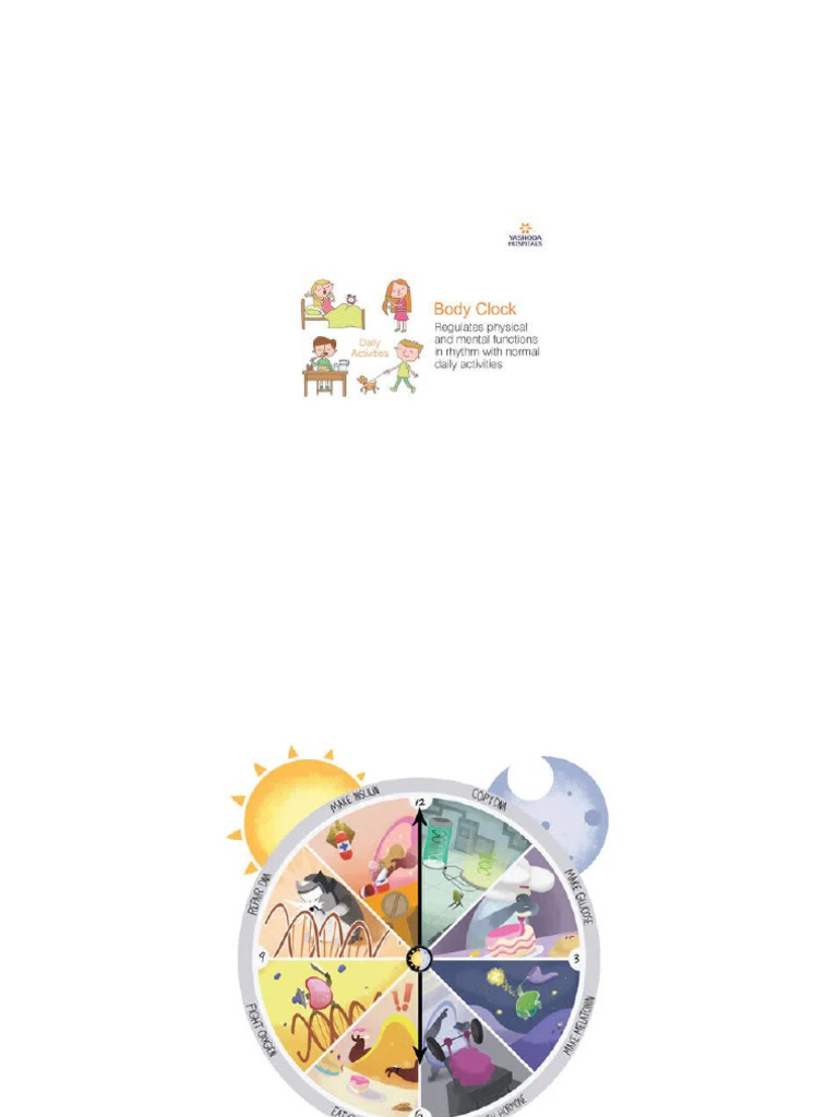 Biological Clock | PDF