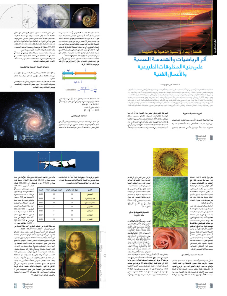 Issue 72 | PDF