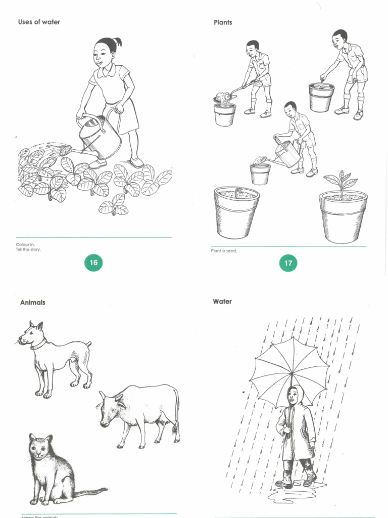 Maths & Science ECD A | PDF