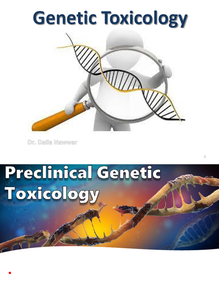 Genetic Toxicology | PDF | Point Mutation | Mutagenesis