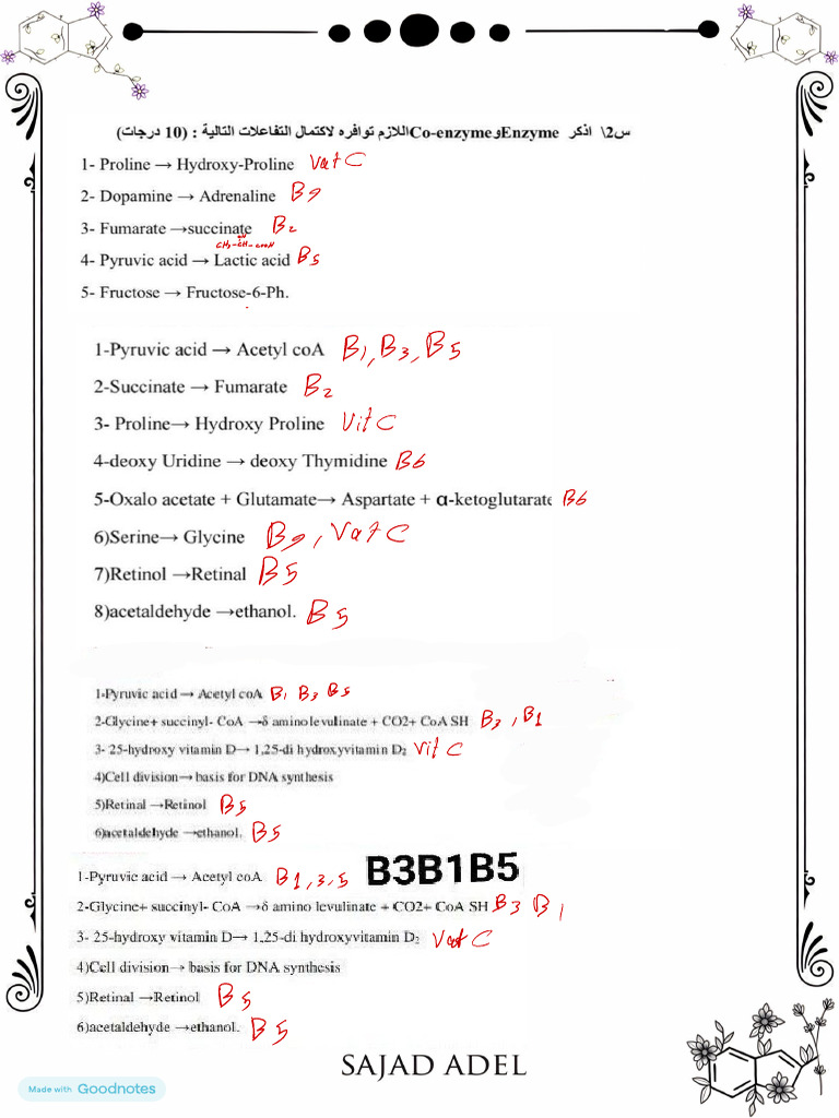 Untitled Notebook | PDF