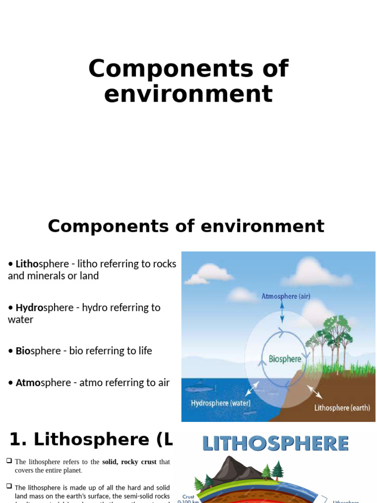 Unit 1. Part - Components of Environment | PDF