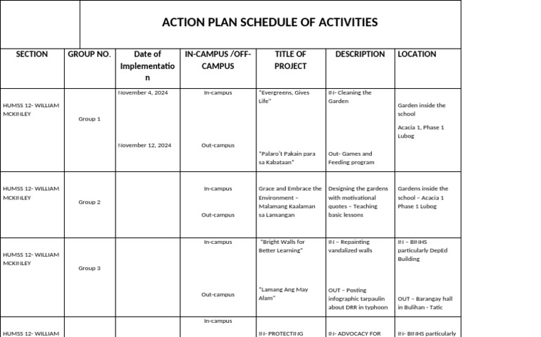 ACTION PLAN DETAILS | PDF