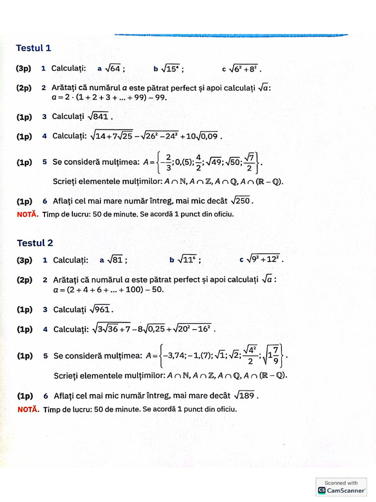 Temă - Mulțimi de Numere. Radicali | PDF