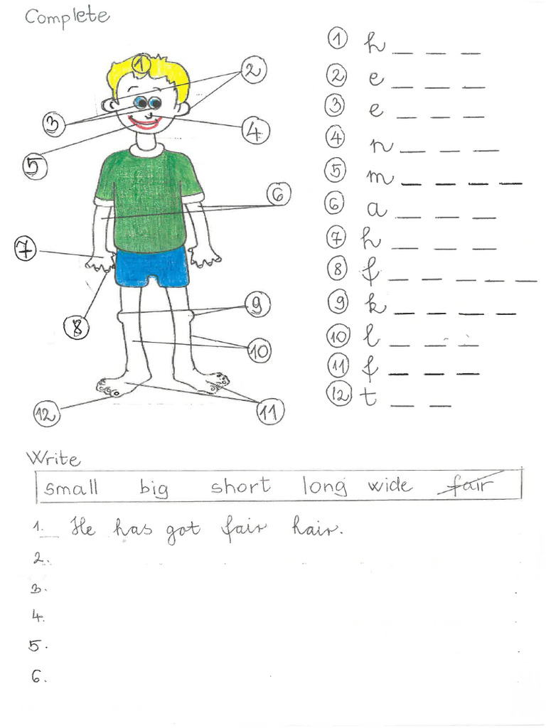 Playway 3 Gyakorlás 1. Oldal | PDF