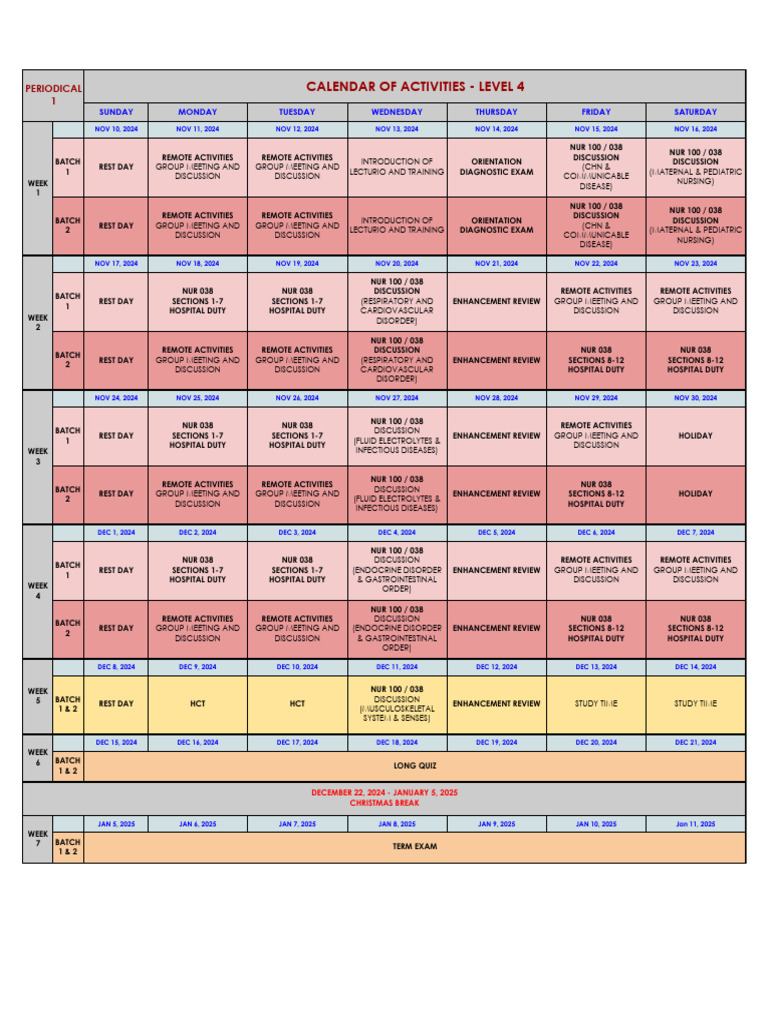 Level 4 Nursing Activities Calendar | PDF