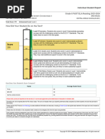 RISE Score Charts | PDF