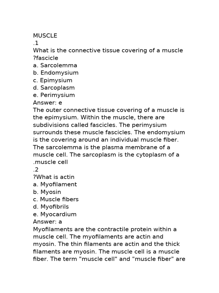 Muscle | PDF | Muscle | Skeletal Muscle