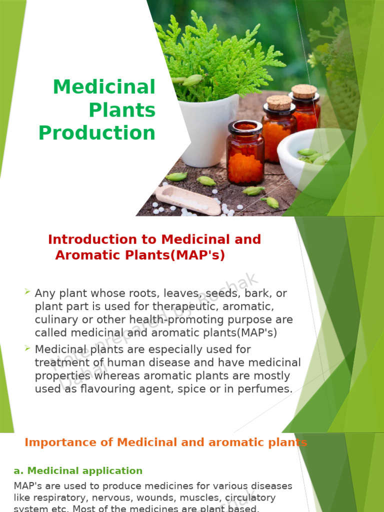 Medicinal Plants Production | PDF | Medicinal Plants | Essential Oil