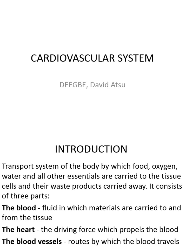 Cardiovascular System 1 Pdf Atrium Heart Heart