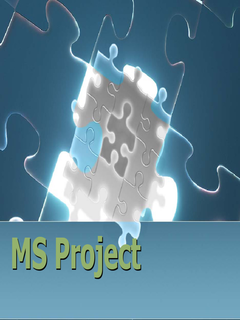 MS Project | PDF