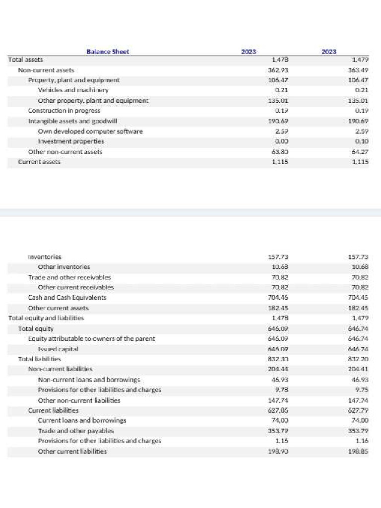 Zepto Balance Sheet | PDF