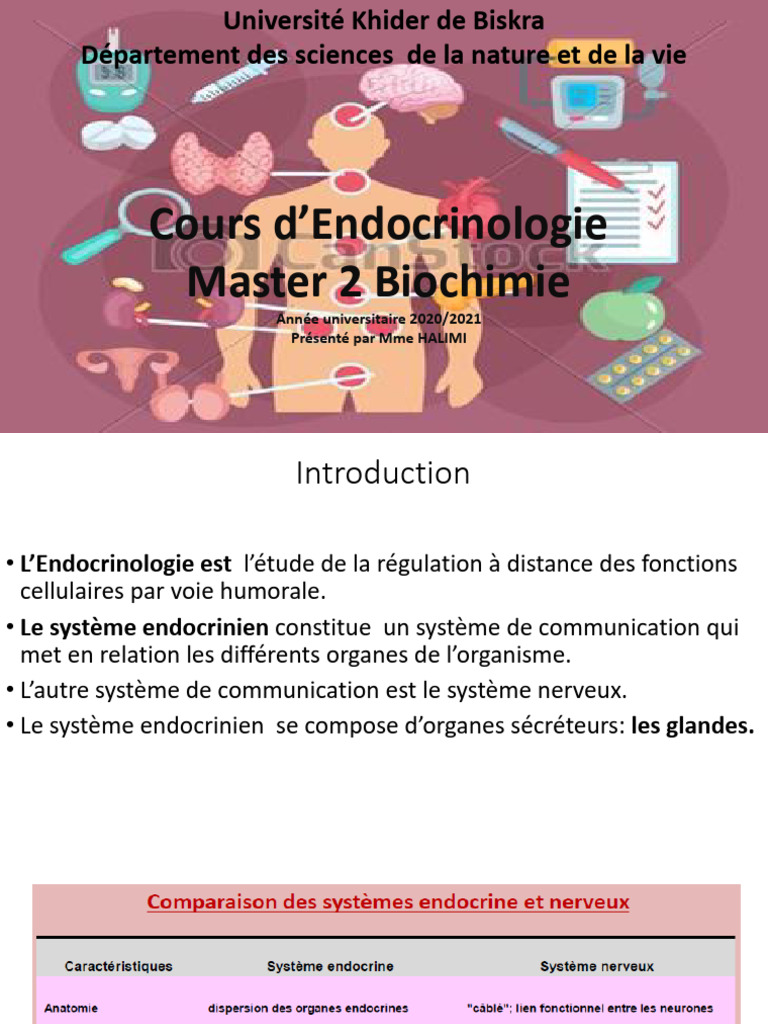 Comprendre le Système Endocrinien | PDF