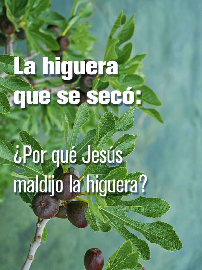 La higuera que se secó: ¿por qué Jesús maldijo la higuera? | PDF ...
