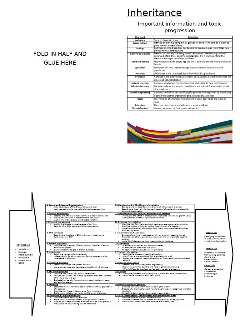B6 Inheritance Topic Journey | PDF | Evolution | Reproduction