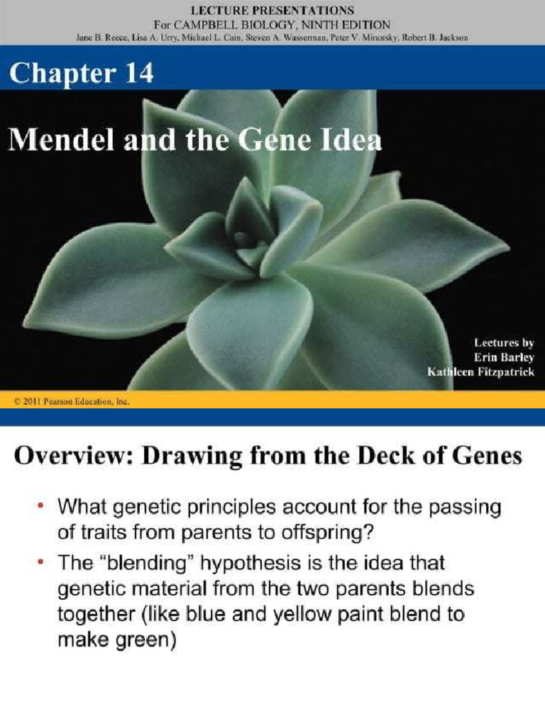 Mendel and his gene idea-AP | PDF