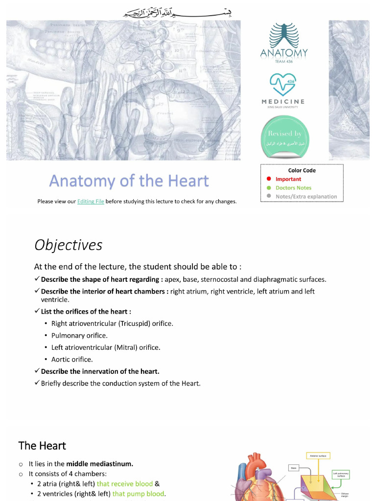 HEART | PDF