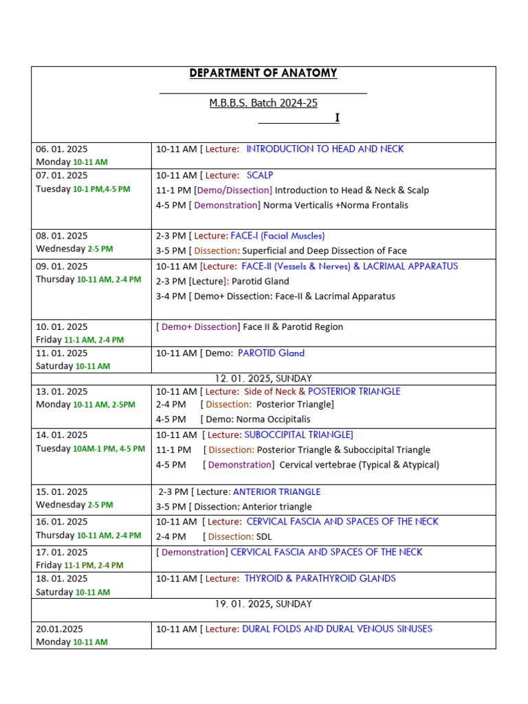 Schedule HN-1 Gross Anatomy | PDF | Neck | Human Anatomy