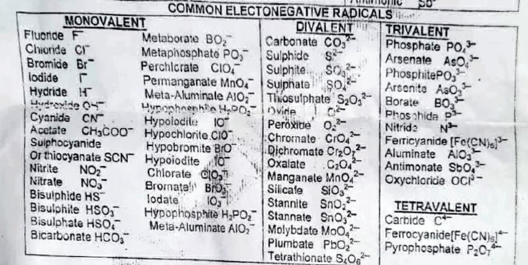 Adobe Scan Jan 11, 2025 | PDF