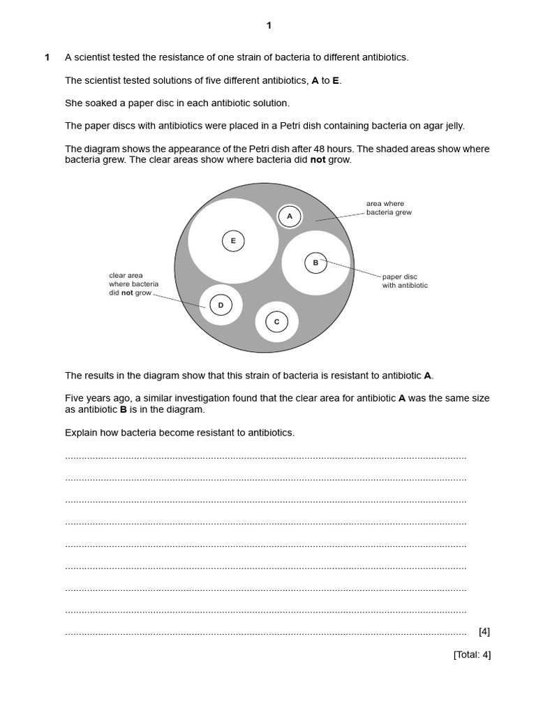Variation Support Worksheet | PDF | Plant Breeding | Seed