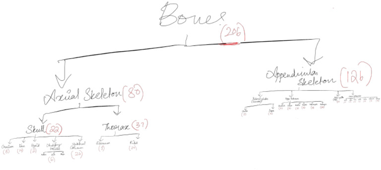 Classification of bones | PDF