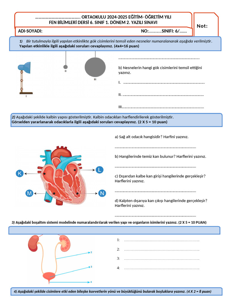2024 2025 6 SNF 1 Donem 2 Yazl | PDF