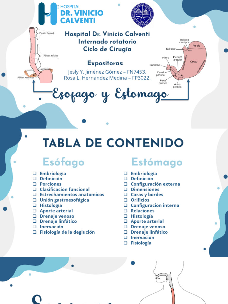 Esofago y Estomago | PDF | Estómago | Esófago