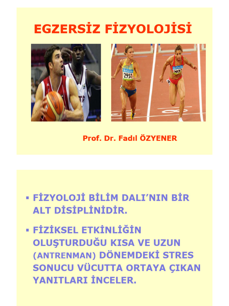 egzersiz-fizyolojisine-giris hesaplama | PDF