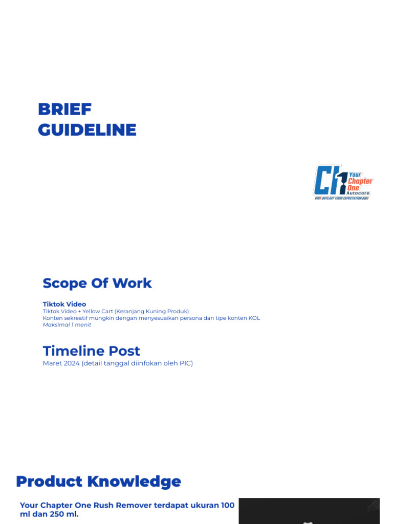 Brief Rust Remover | PDF