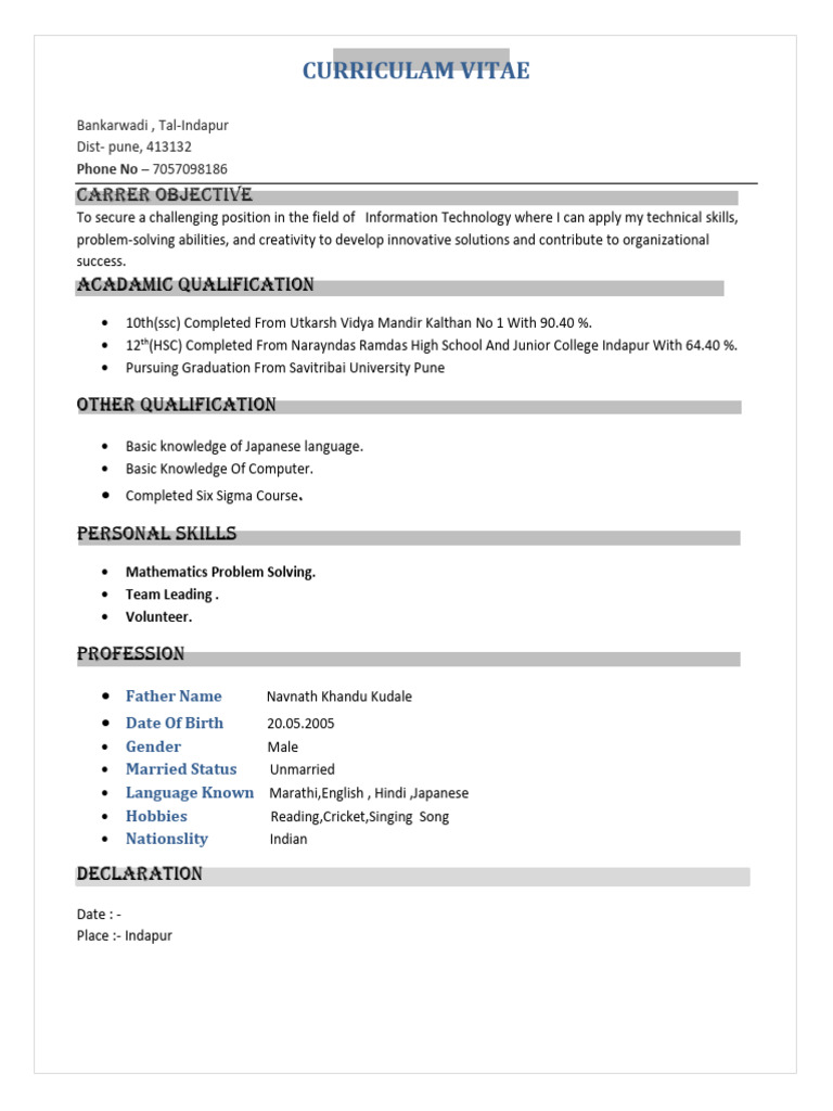 Curriculum Vitae Karan | PDF