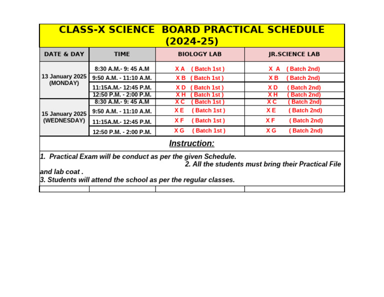 Sonia - Cbse Board Practical - Class X | PDF