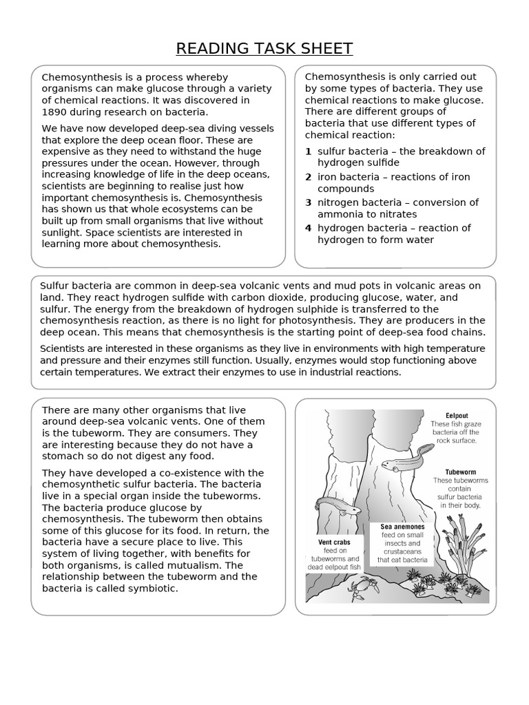 Chemosynthesis and Deep-Sea Ecosystems | PDF | Earth Sciences | Chemistry
