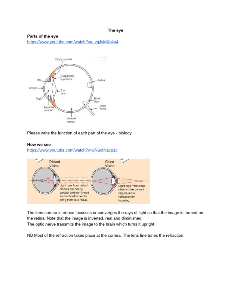 Eye Anatomy & Vision Disorders | PDF