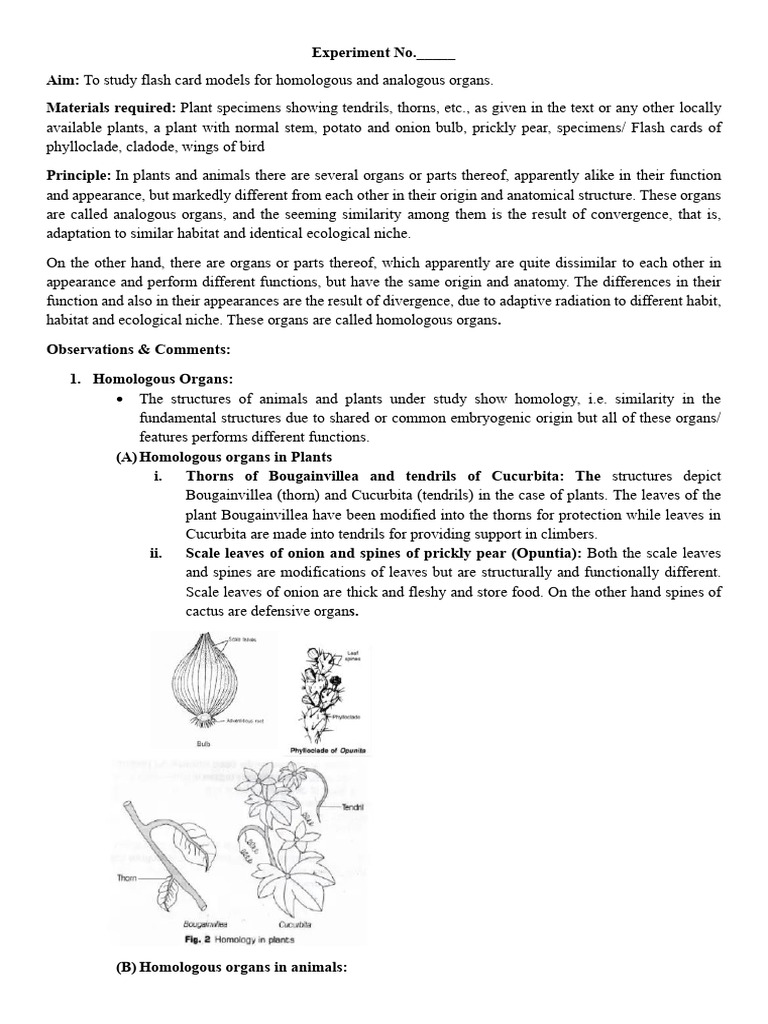 Experiments | PDF | Flowers | Pollination