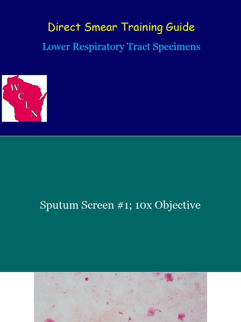 Lower Respiratory Tract Direct Smear Excercise | PDF