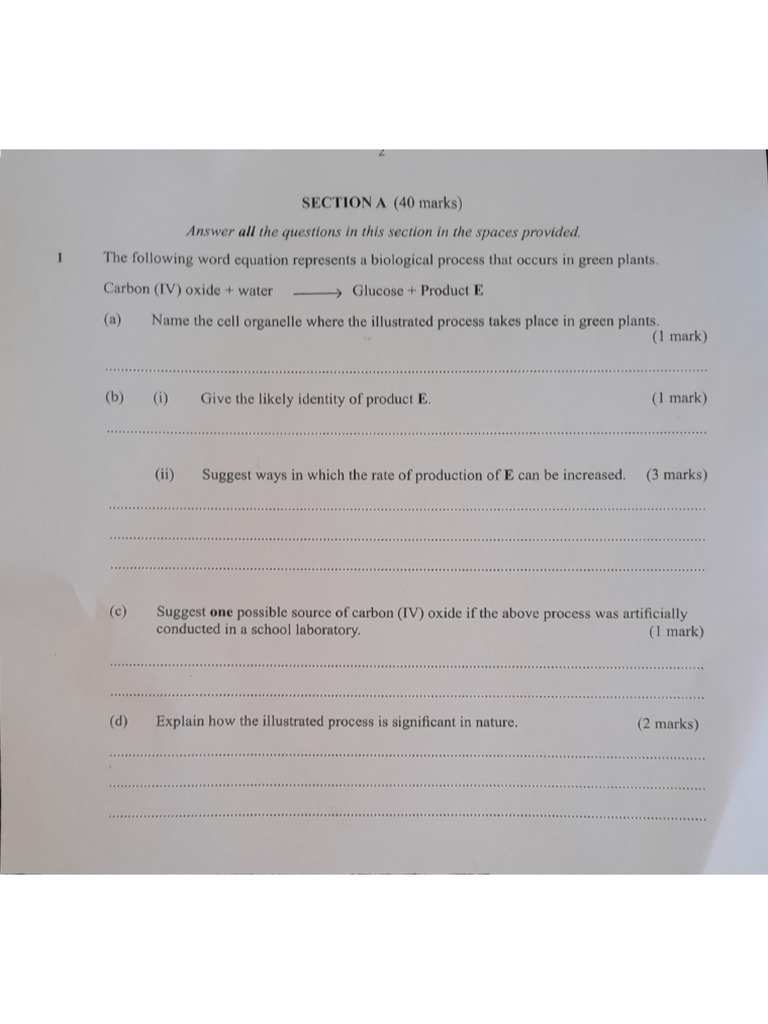 kse 2024 bio pp2 | PDF