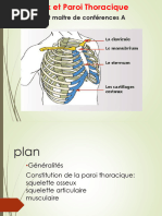 Anatomie et Incidences du Gril Costal | PDF | Appareil locomoteur ...