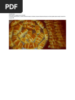 Nasljednička Izjava | PDF