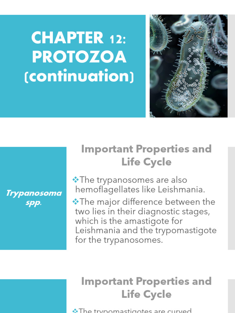Micropara Chapter 12 Continuation | PDF | Plasmodium | Malaria