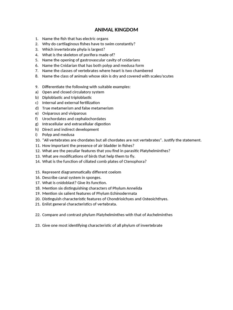 ANIMAL KINGDOM worksheet (1) | PDF